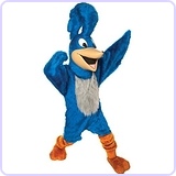 Roadrunner & Wile E. Coyote Halloween costumes